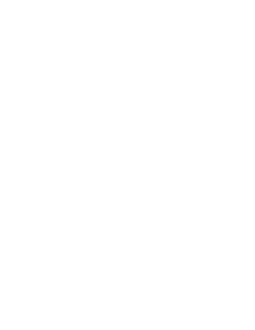 Alfil Brand Studio – Agencia de Branding en la ciudad de Arequipa Perú